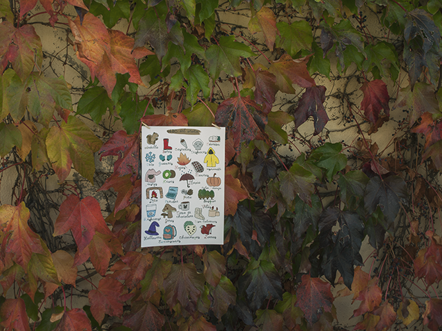 imprimible: ABC del otoño en lámina y fichas - MLC Estudio